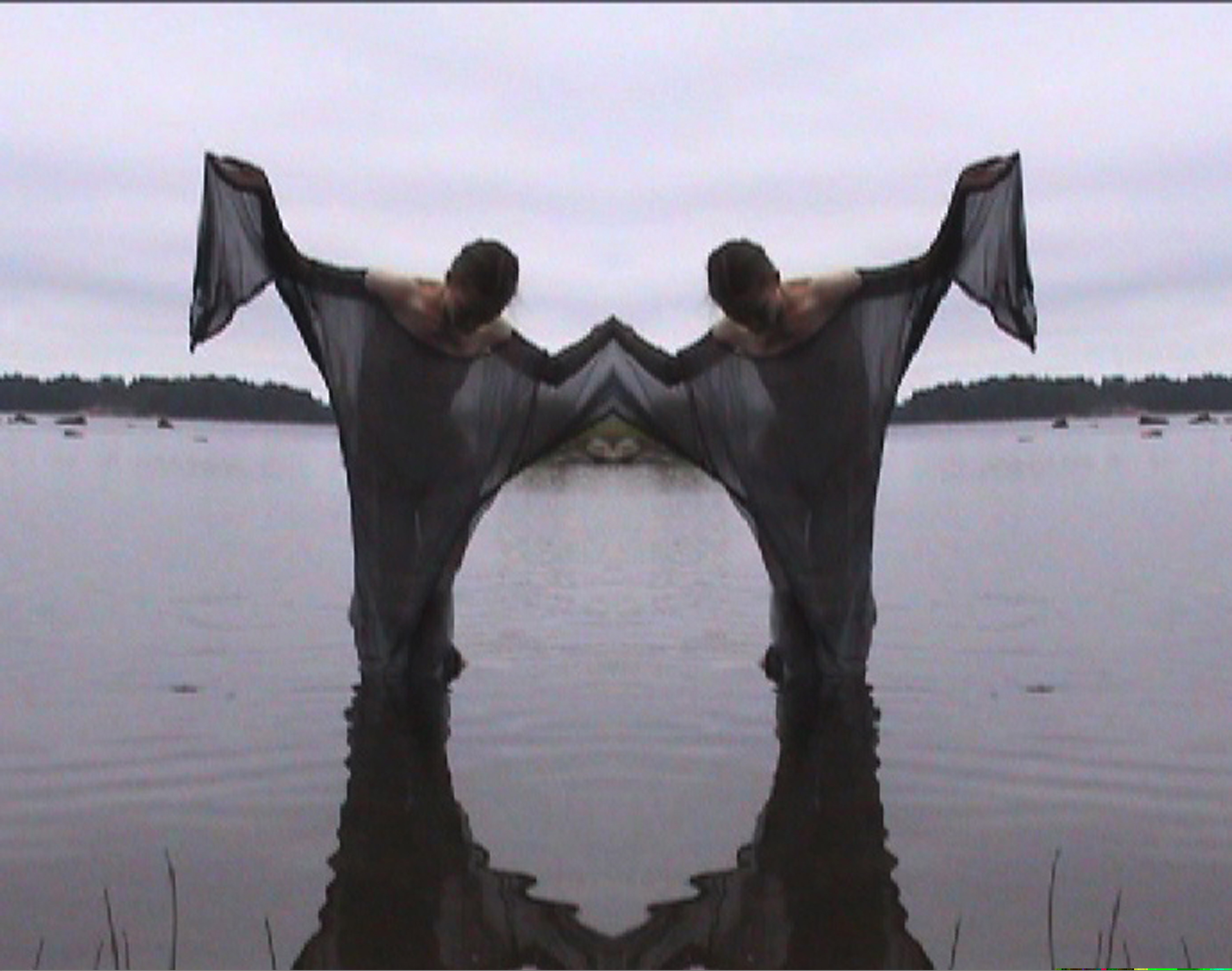 Media art – Lotta-Pia Kallio